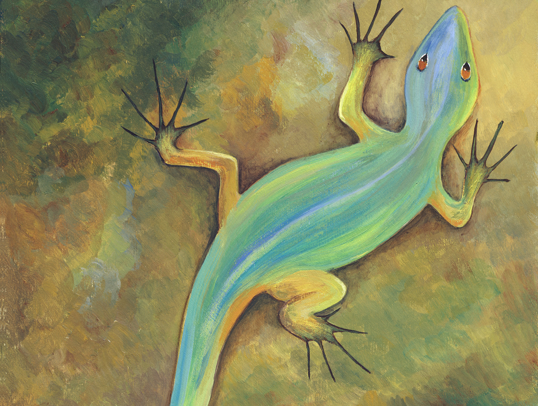 Lizard