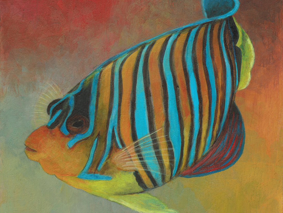 Angelfish